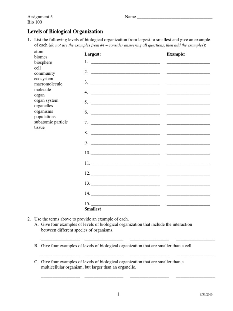 Levels of Biological Organization Worksheet PDF | Download Free PDF ...