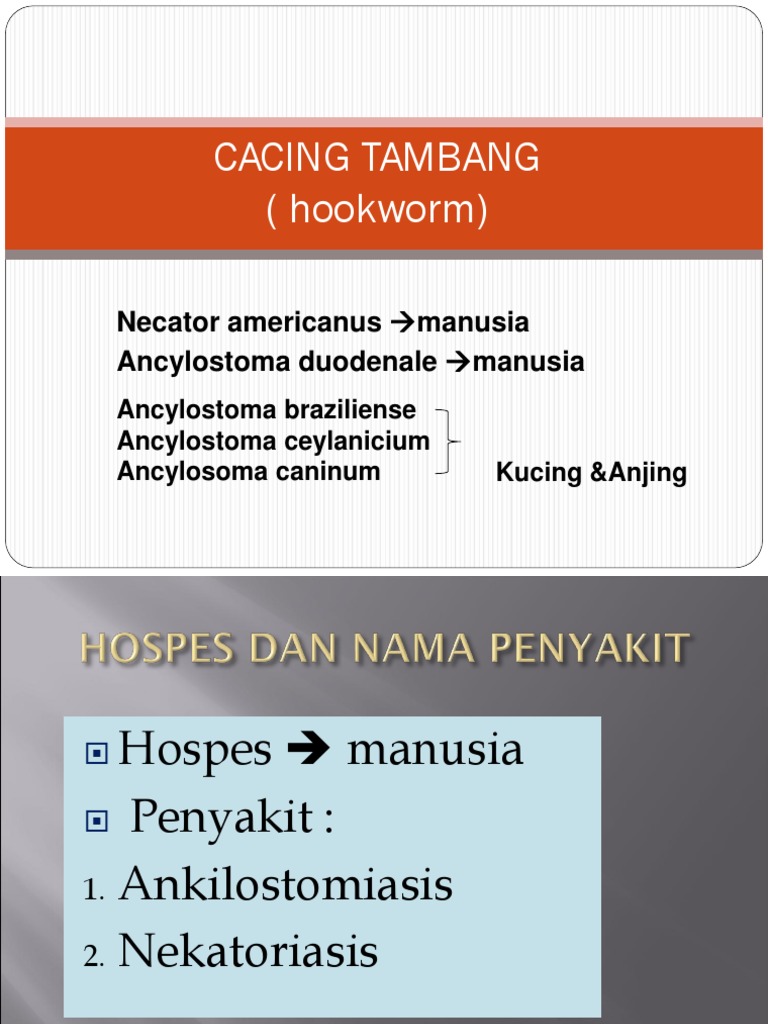 Cacing Tambang | PDF | Sains & Matematika