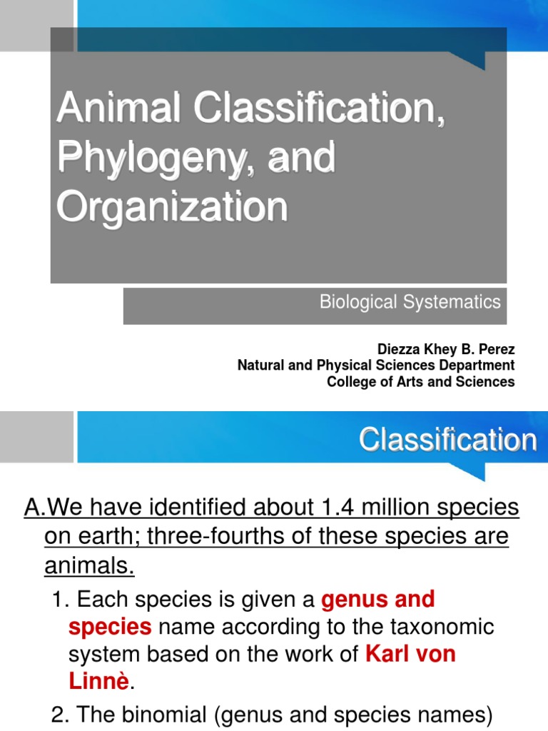 Animal Classification, Phylogeny, and Organization: Biological Systematics | Download Free PDF ...