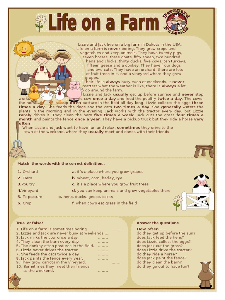 Farm Life Vocabulary and Quiz | PDF | Farms | Chicken
