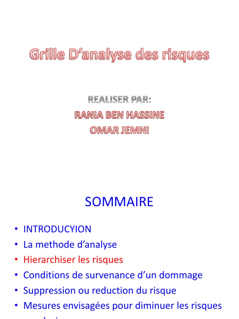 Grille D'analyse Des Risques | PDF | Risque | Gestion des risques