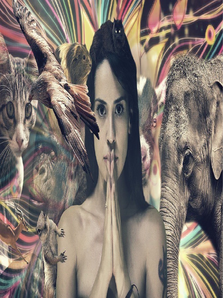 Descubra Seu Animal de Poder | PDF | Espírito | Vida