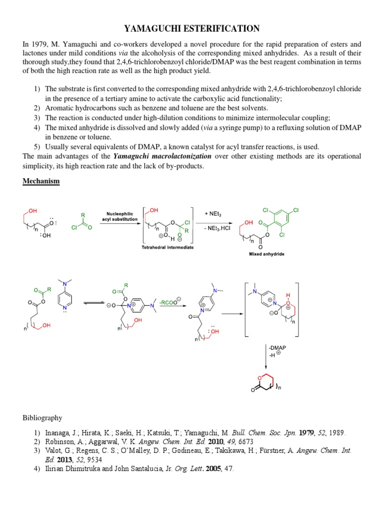 Yamaguchi Esterification Resumen | PDF