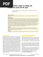 Understanding the Penile Raphe Line | PDF | Genitourinary System ...