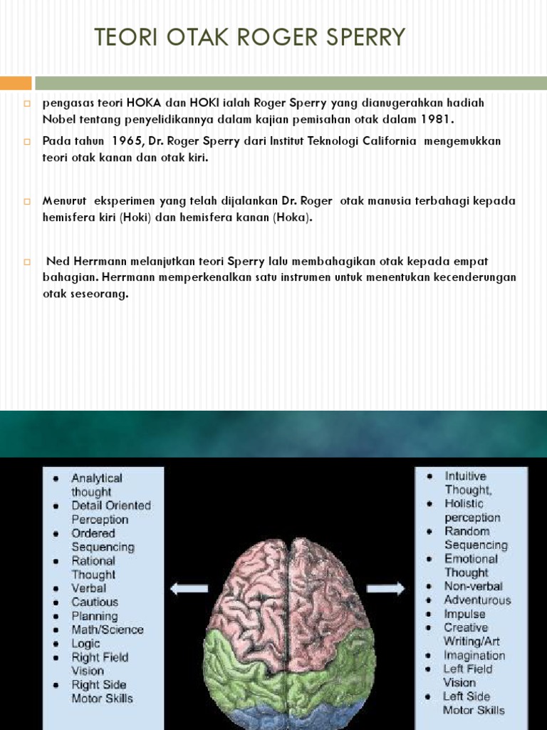 Teori Whole Brain Thinking Nedd Hermann | PDF