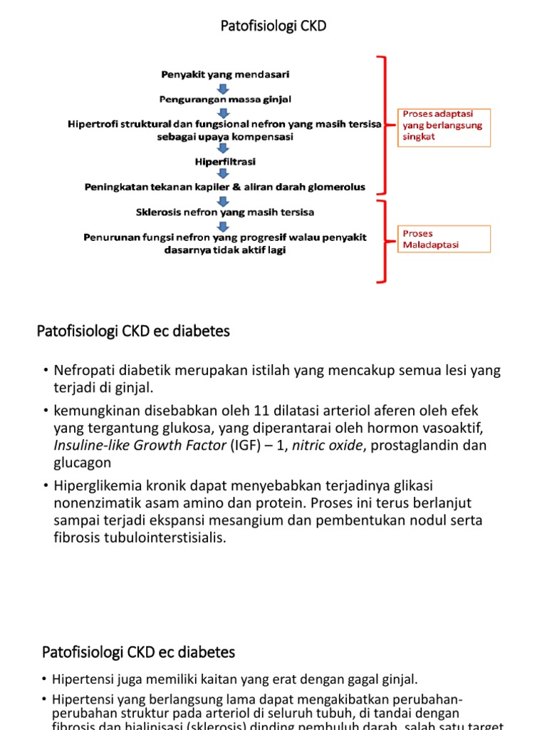 Patofisiologi CKD | PDF