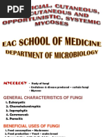 Cyniclomyces Guttulatus | PDF | Pathology | Dogs