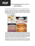 Prueba de BOYDEN | PDF | Medicina | Bienestar