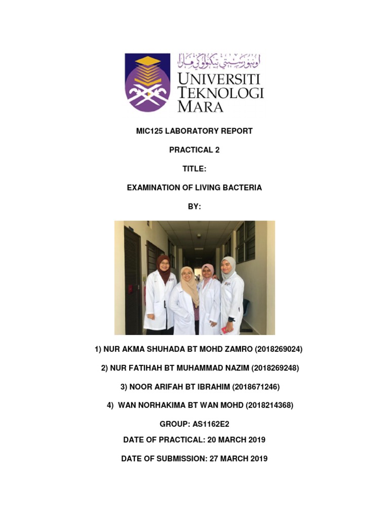 Living Bacteria Examination Report | PDF | Bacteria | Microorganism