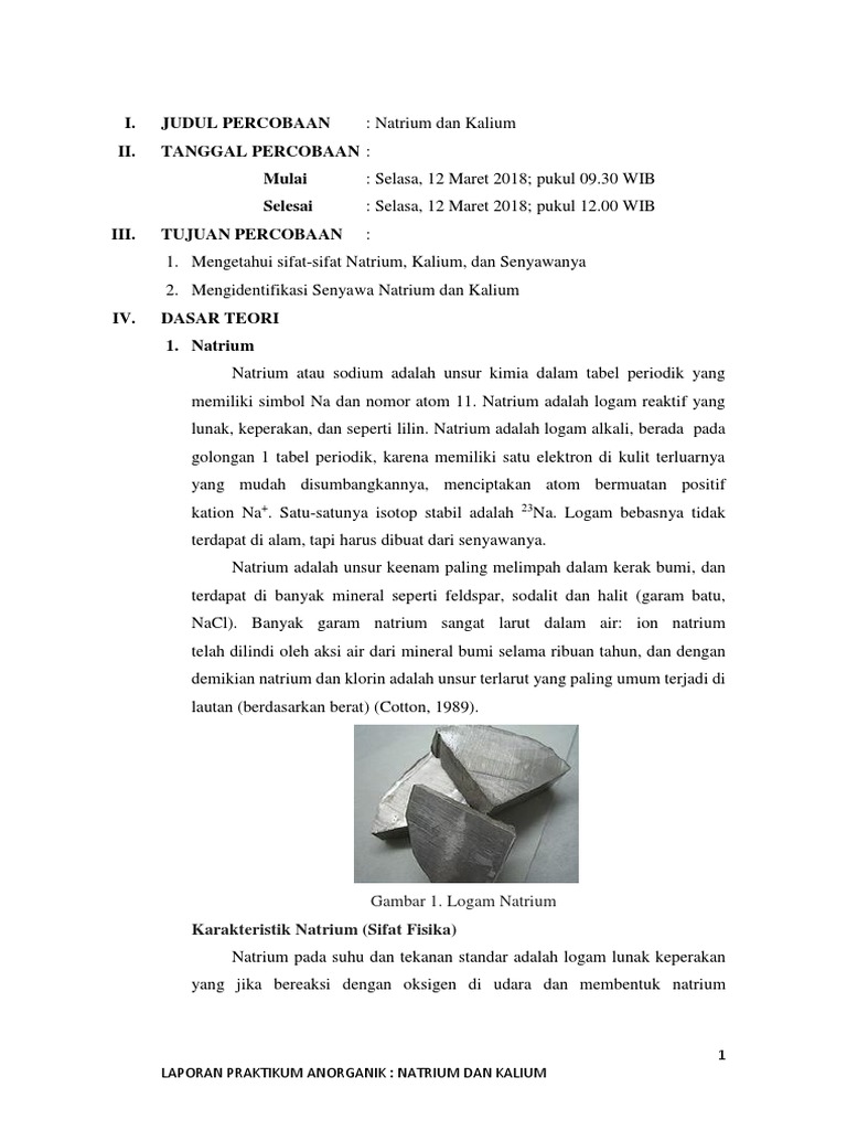 Percobaan IV (Natrium Dan Kalium) | PDF