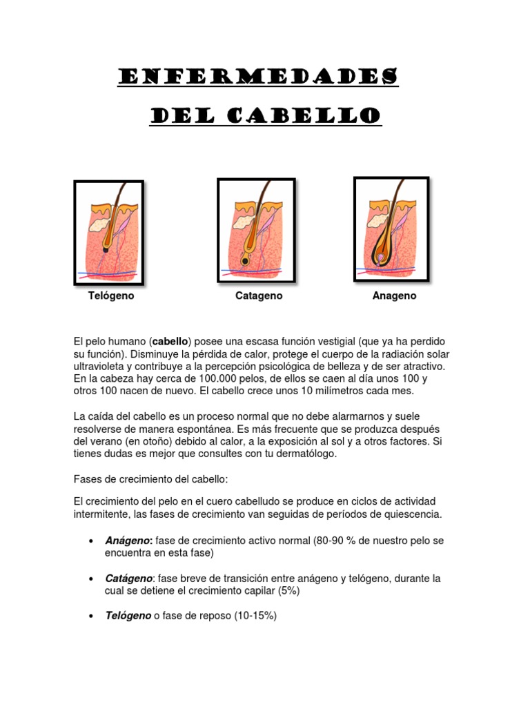 Enfermedades Del Cabello | PDF | Especialidades Medicas | Enfermedades ...
