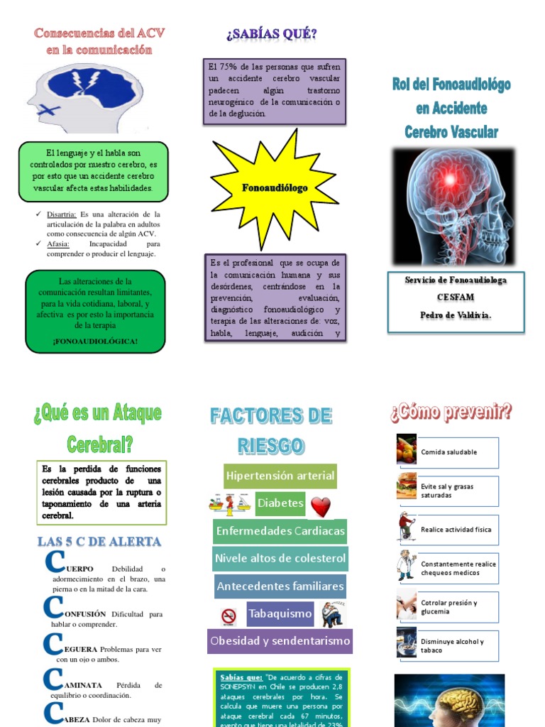 Triptico ACV | PDF | Carrera | Enfermedades y trastornos humanos