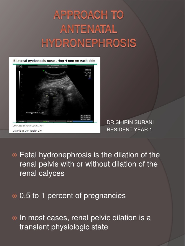 DR Shirin Surani Resident Year 1 | PDF | Urology | Medical Specialties