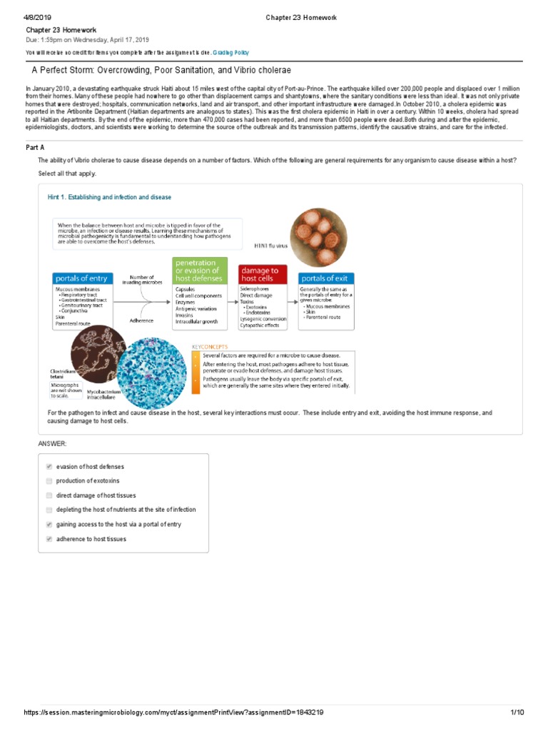 Chapter 23 Homework Pdf