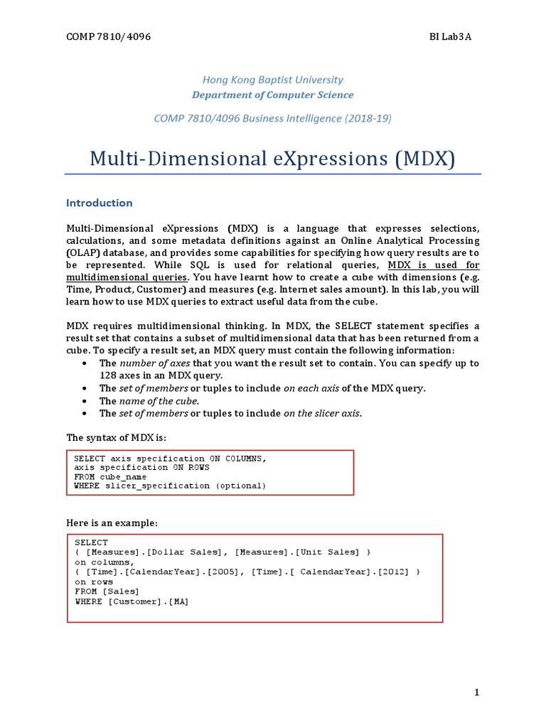 Analyzing Sales Data Across Dimensions Using MDX Queries | PDF | Information Technology ...