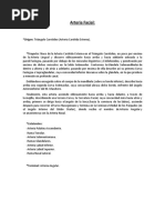 Region Superciliar ANATOMIA 2 FOLP | PDF | Anatomía humana | Cabeza y ...