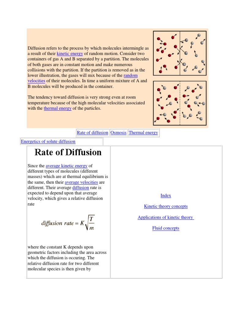 Diffusion and Osmosis | PDF | Osmosis | Diffusion