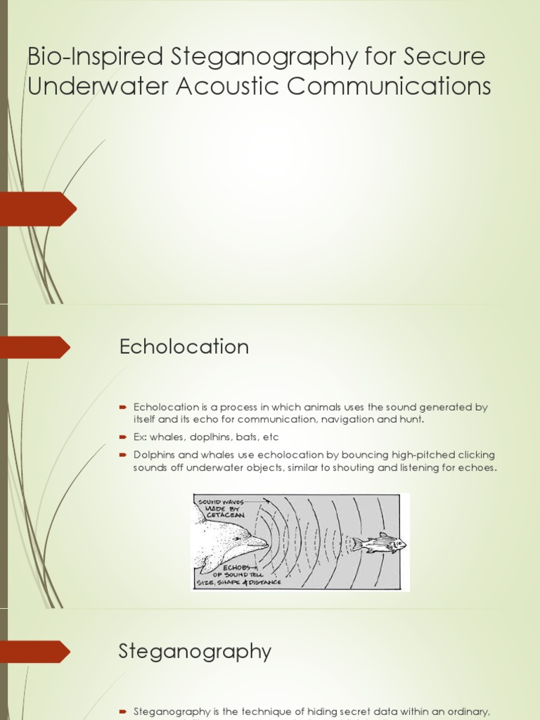 Bio-Inspired Steganography For Secure Underwater Acoustic Communications | PDF | Information And ...
