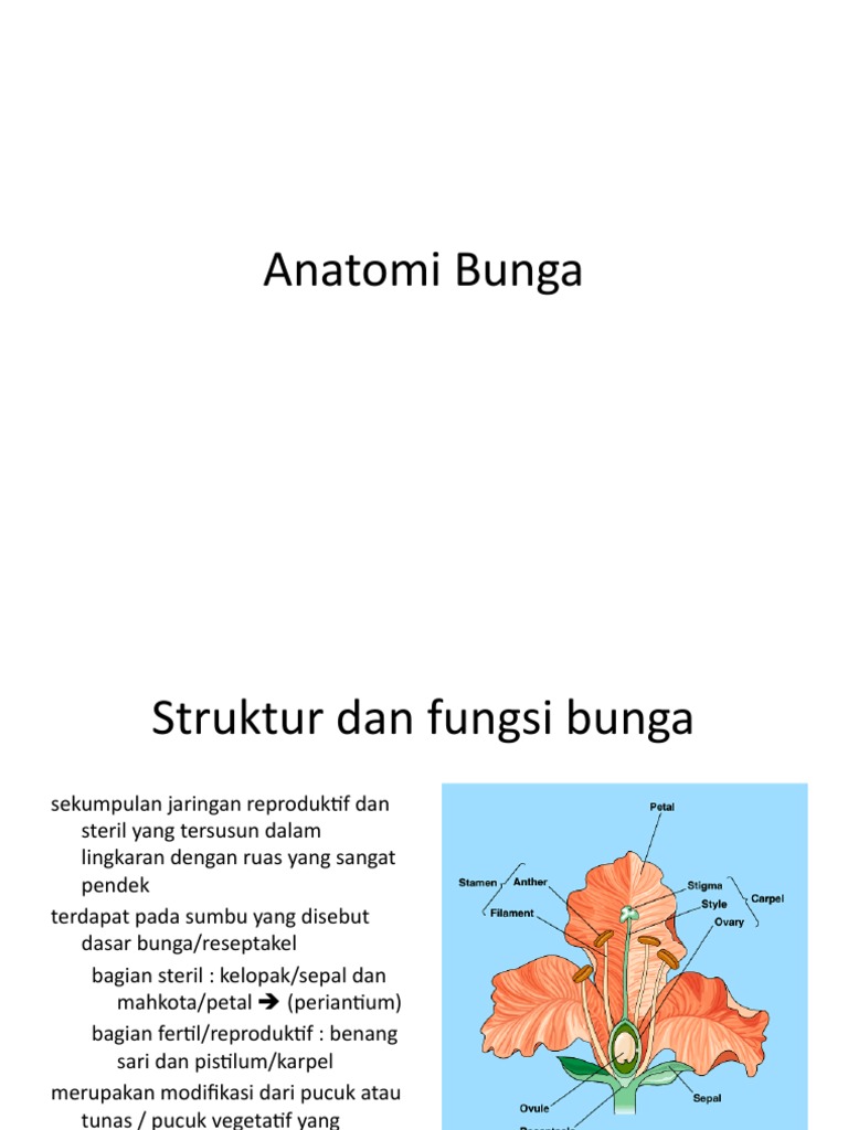 Struktur dan Fungsi Anatomi Bunga | PDF | Kesehatan Holistik
