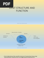 Butler Neural Mobilization | PDF | Nervous System | Nerve
