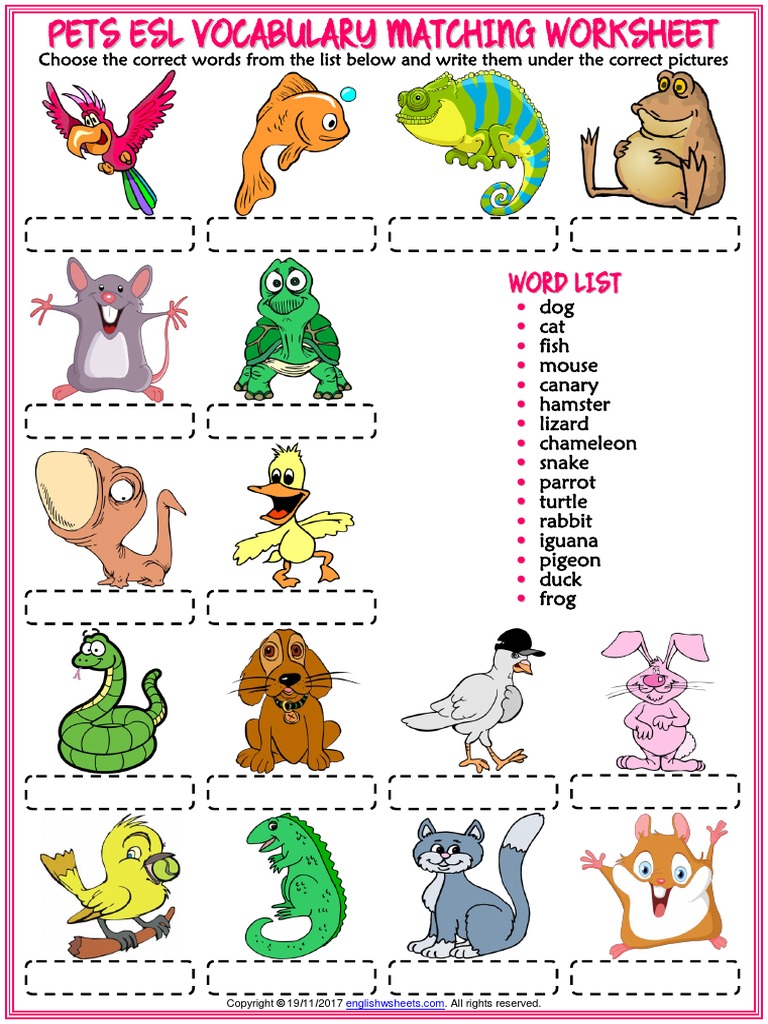 Pets Vocabulary Esl Matching Exercise Worksheet for Kids | Nature ...