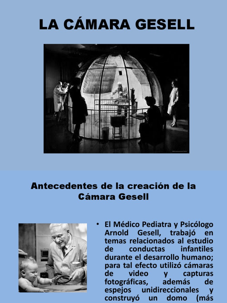 La Cámara Gesell COLEGIO DE ABOGADOS Y NOTARIOS | PDF | Abuso sexual ...