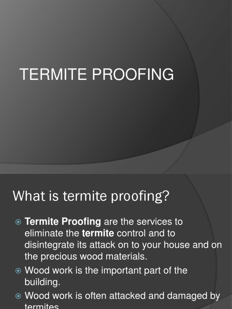 Termite Proofing | PDF