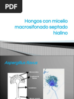 Azul de Tripan | PDF | Tinción | Microscopía