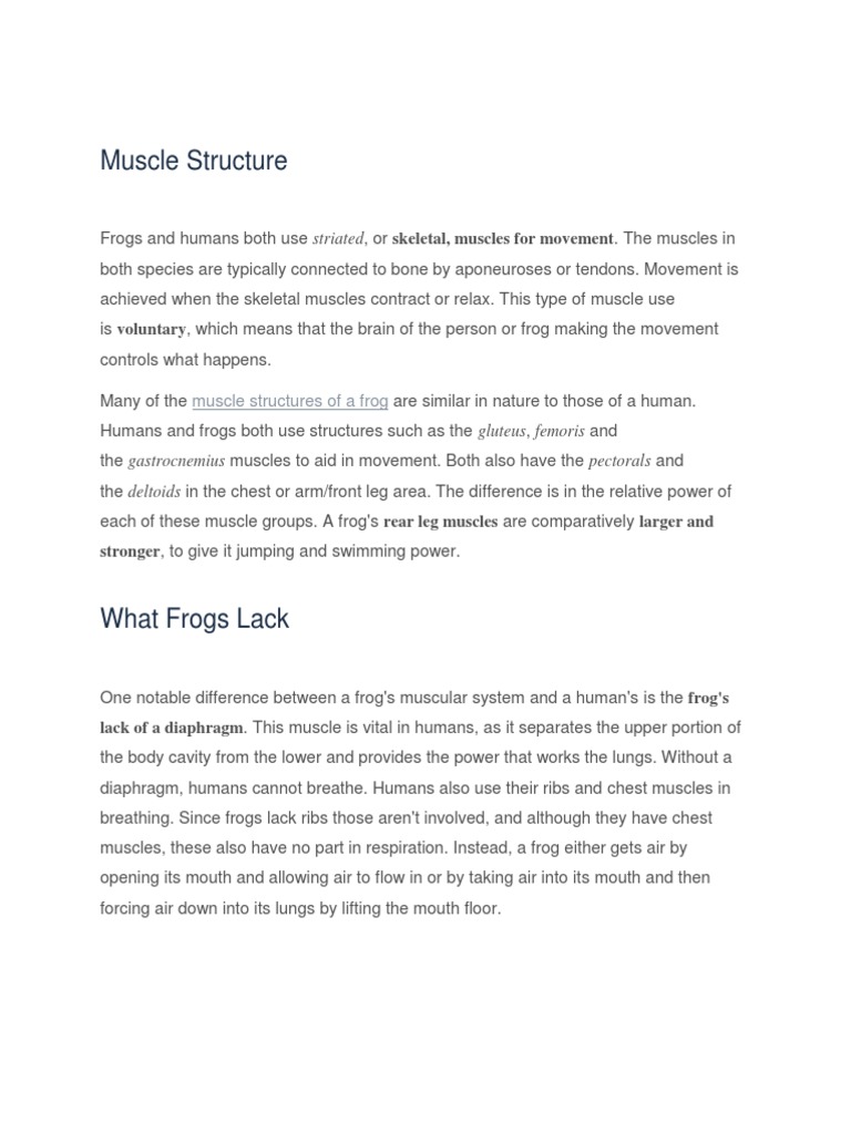 Muscle Structure: Muscle Structures of A Frog | PDF | Frog | Muscle