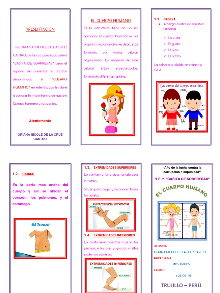 Triptico Del Cuerpo Humano | PDF | Cuerpo humano | Anatomía