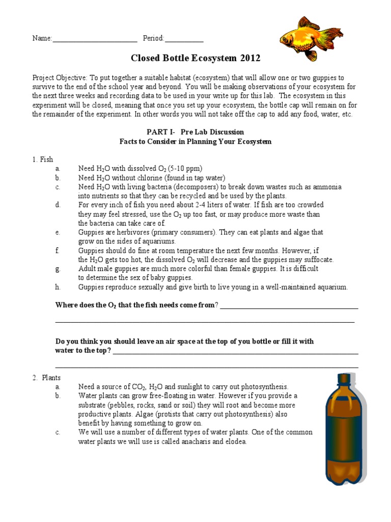 Closed Ecosystem in a Bottle Project | PDF | Ecosystem | Aquarium
