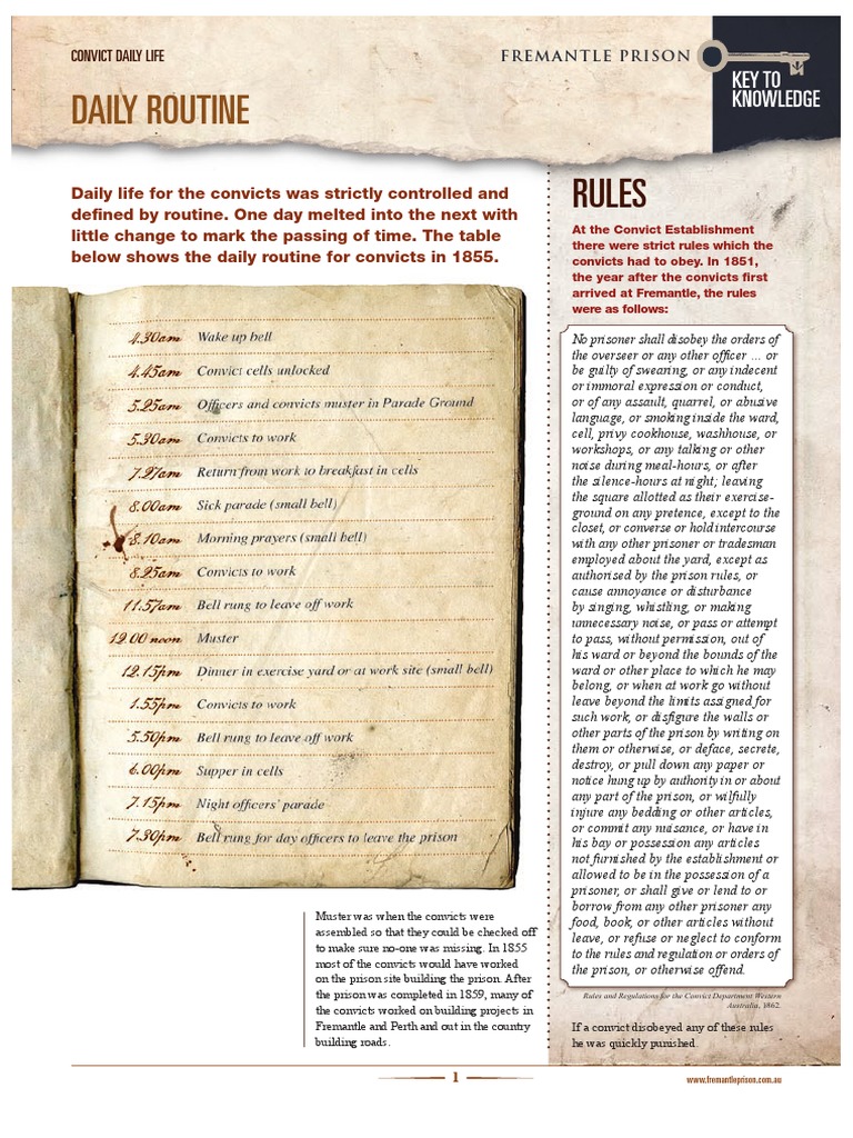 Daily Routine | PDF | Prison | Morality