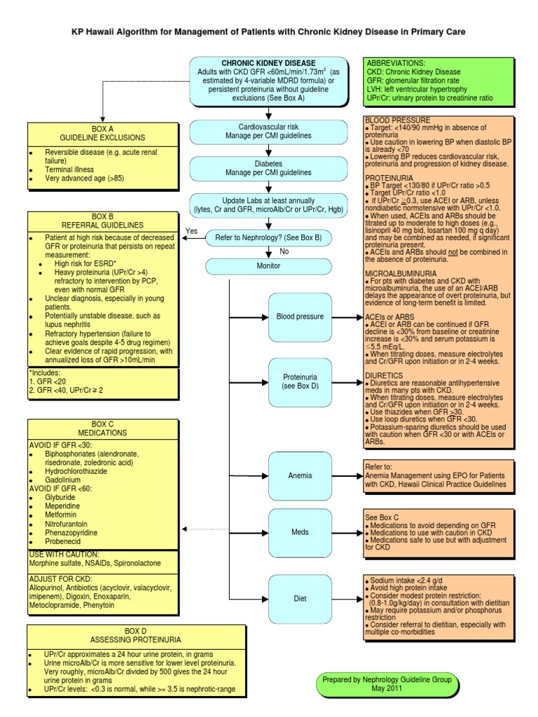 CKD Algorithm Final_2011_May 18 | Chronic Kidney Disease | Renal Function