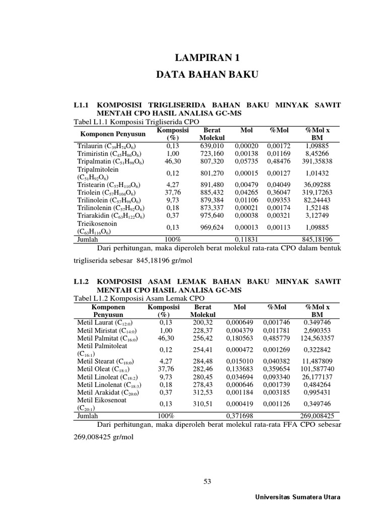 BM Trigliserida | PDF