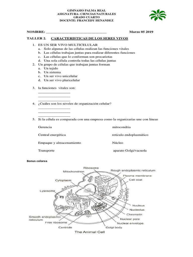 TALLER 2 Caracteristicas de Los Seres Vivos | PDF | Biología Celular ...