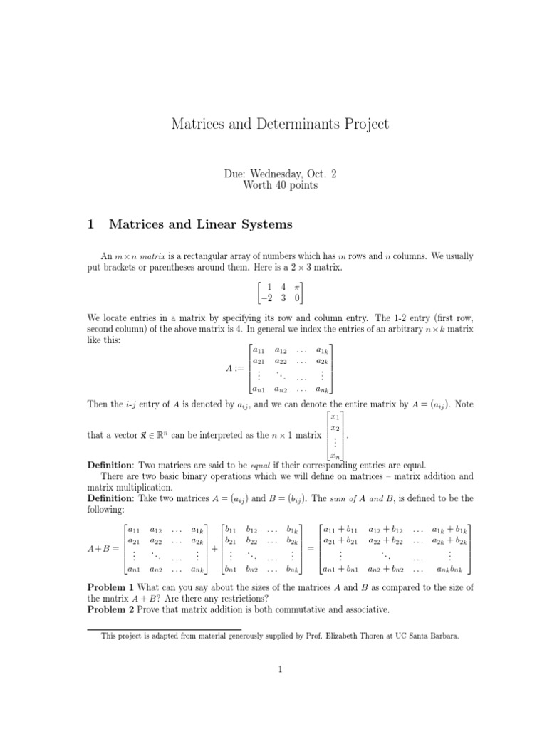 Matrices and Determinants Project | PDF | Determinant | Matrix ...