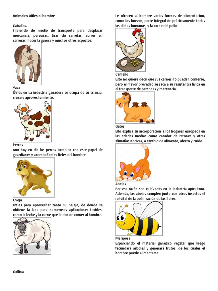 Animales Útiles y Perjudicial Al Hombre | PDF | Insectos | Mosca