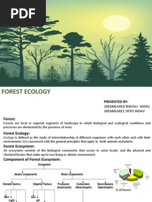 Biological Community Forest