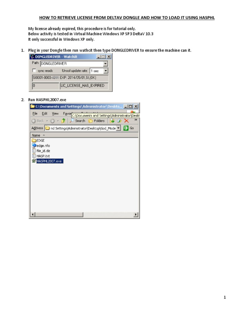 How To Retrieve License From Deltav Dongle and How To Load It Using ...