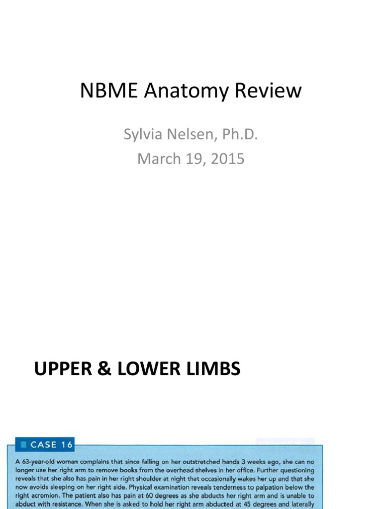 NBME+Anatomy+Review+ 1 PDF | PDF | Abdomen | Human Leg