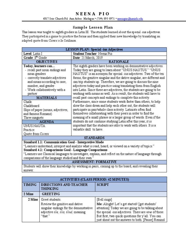 Neena Pio: Sample Lesson Plan | PDF | Grammatical Gender | Adjective