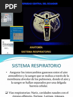 Anatomía nariz. | PDF | Nariz humana | Cabeza y cuello humanos