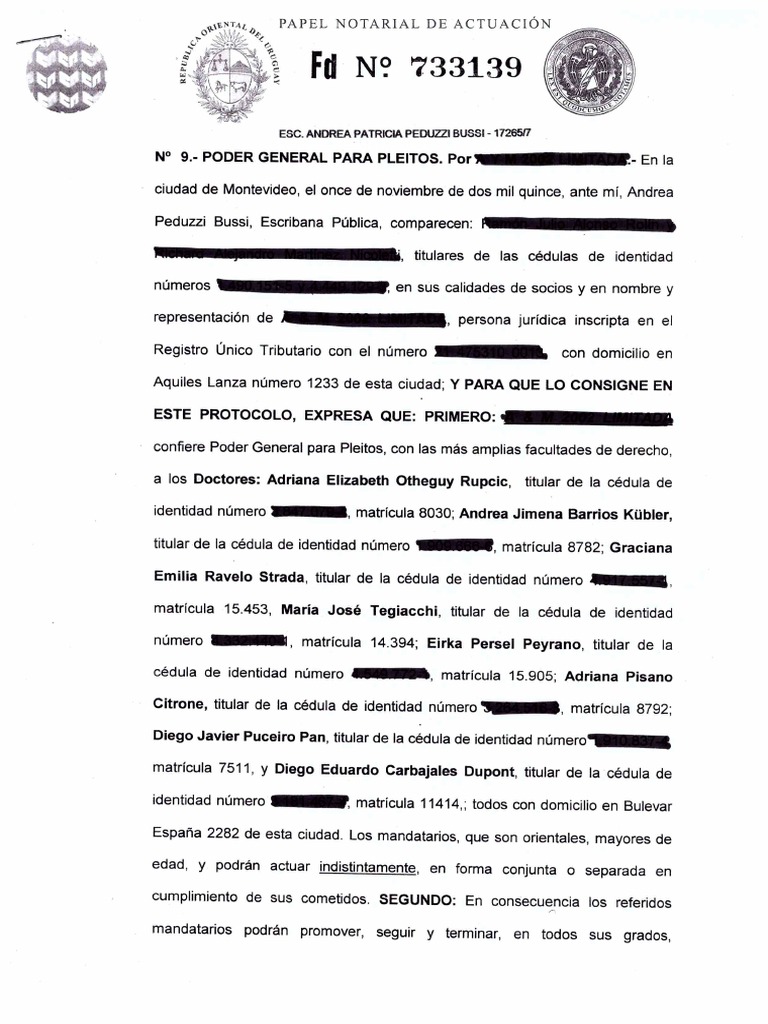 Testimonio Notarial de Poder | PDF