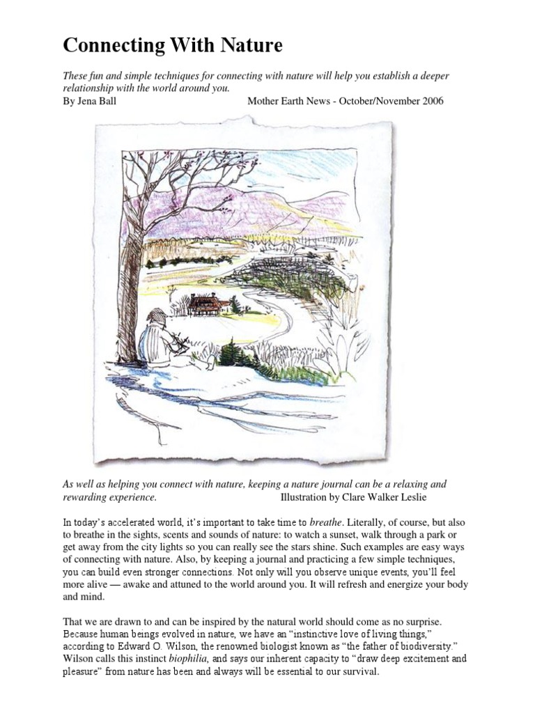 Connecting With Nature | PDF | Drawing | Flowers