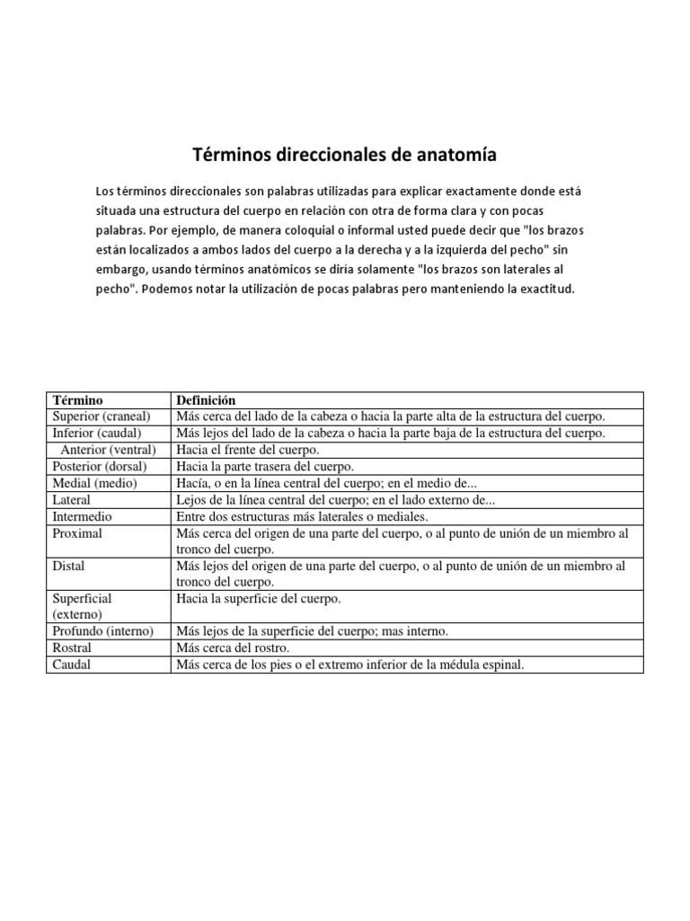Guía de Términos Anatómicos Direccionales | PDF