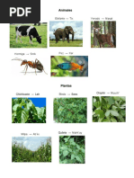 Animales en Xinka | PDF