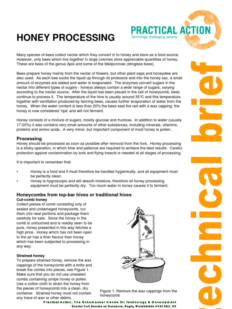 Honey Processing | Honey | Bees