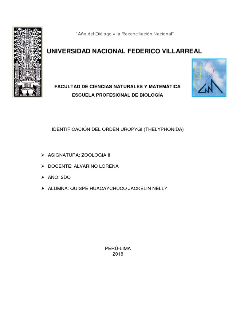 Identificación del Orden Uropygi en Biología | PDF | Arácnidos | Artrópodos