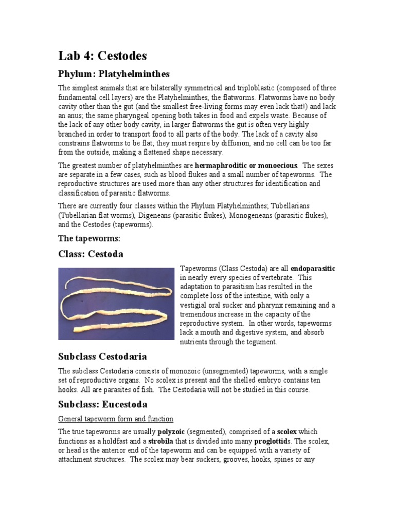 Introduction To Biotechnology and Genetic Engineering Infinity 2008 ...