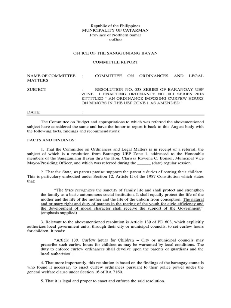 Committee Report Uep ZONE 1 & BRGY NEW RIZAL | PDF | Local Ordinance ...